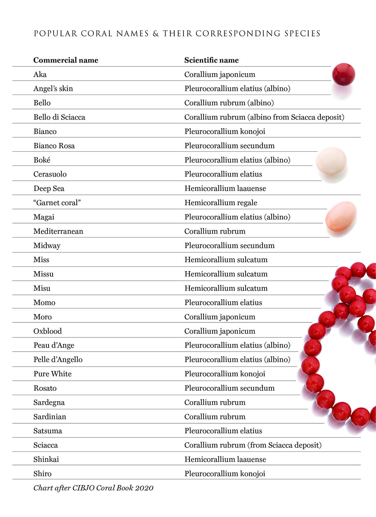 Understanding Precious Coral Jewelry - Assael